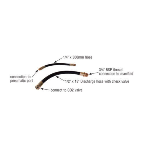 CO2 System Setup Type A, With Solenoid Actuated Pilot Cylinder - Steel ...